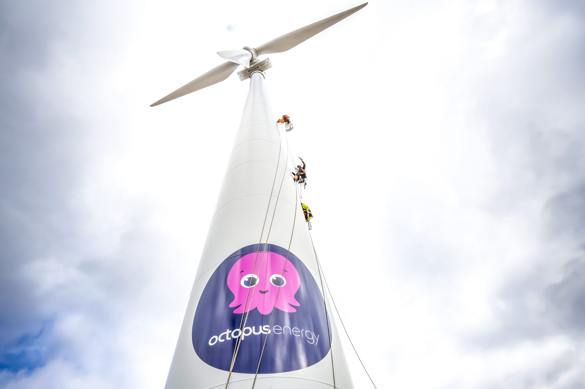 Wind Turbine Branding for Octopus Energy - Citiprint - Same Day Print ...